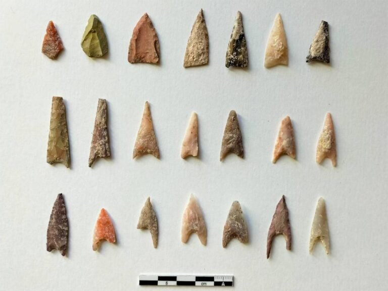 Archaeologists uncover 1,800-year-old Roman soldier burial with dagger ...