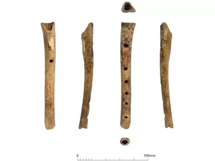 Rare Medieval bone flute unearthed in Kent | Archaeology News Online ...