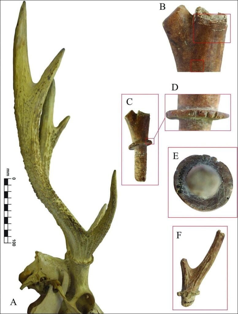 A 2,000-year-old stringed instrument was discovered in Vietnam ...