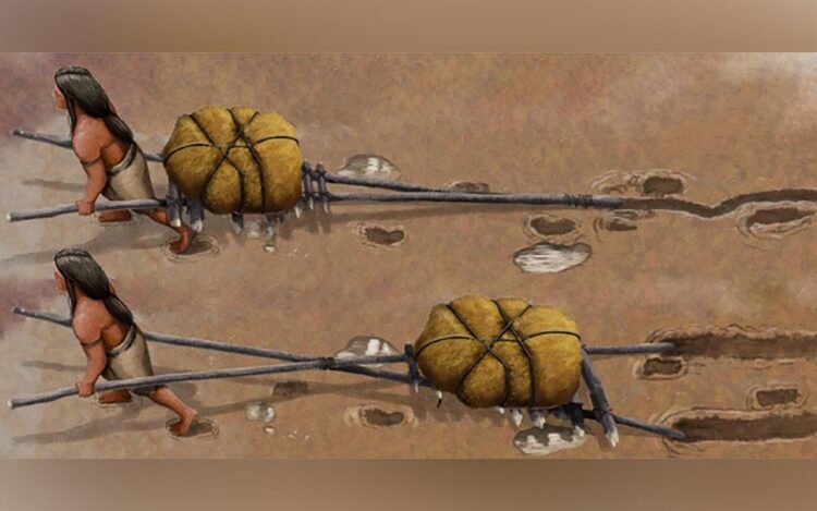 New study reveals Neanderthals faced a population crash 110,000 years ago | Archaeology News ...