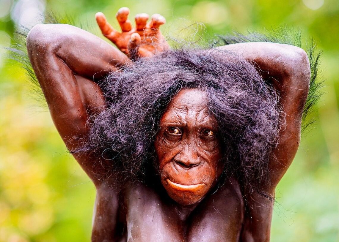 Controversy Soars Among Archaeologists As Human Ancestor Fossils Sent