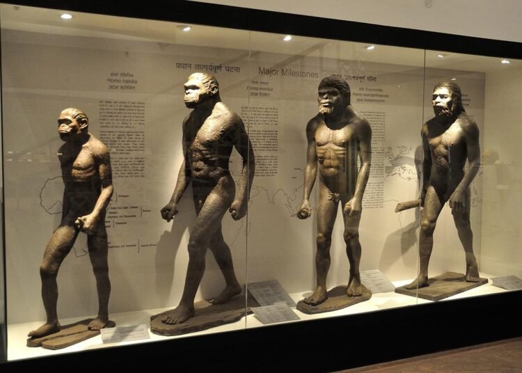 Homo juluensis: Scientists discovered a new species of archaic human ...