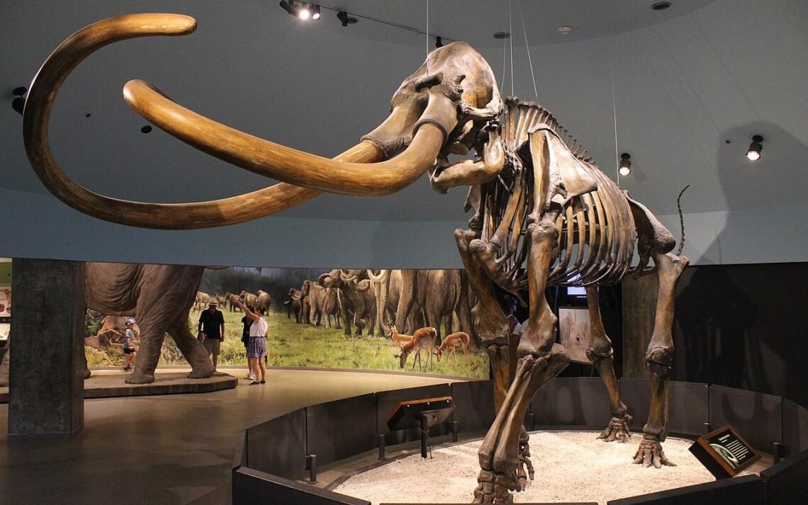 Mammoths and early human society | Archaeology News Online Magazine
