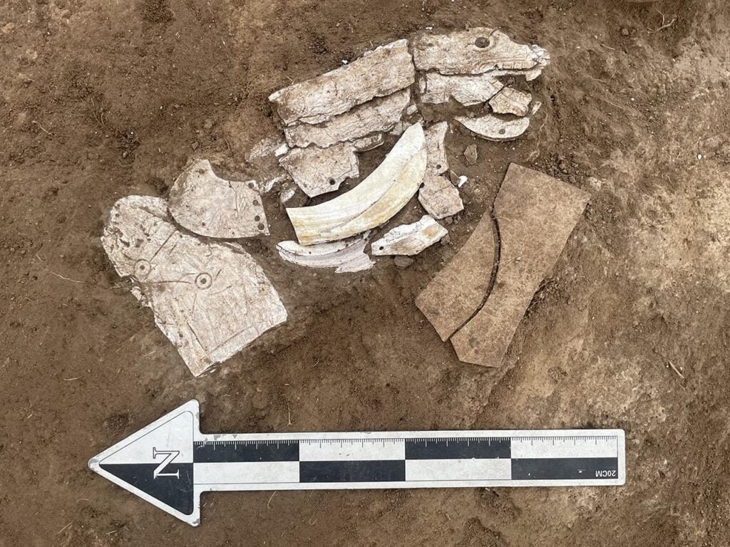 Neolithic dragon made of mussel shells unearthed in Inner Mongolia ...
