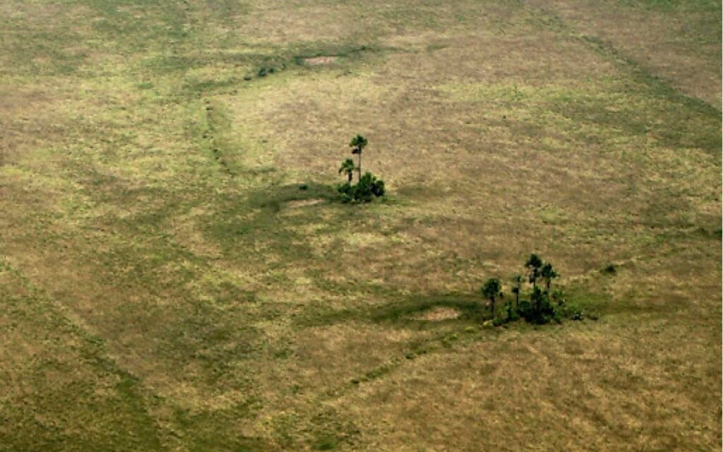 More than 10,000 pre-Columbian earthworks are still hidden beneath ...