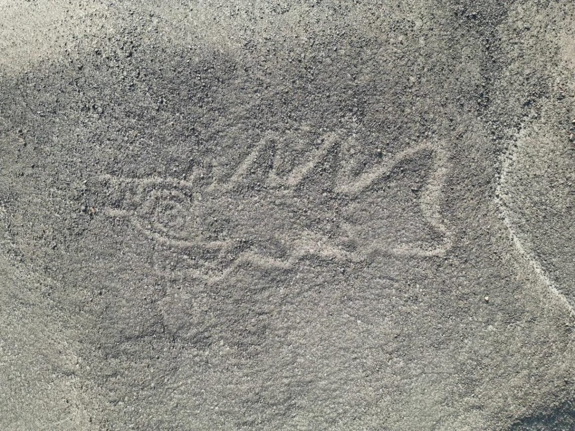 AI uncovers 303 new Nazca geoglyphs, including knife-wielding orca and ...
