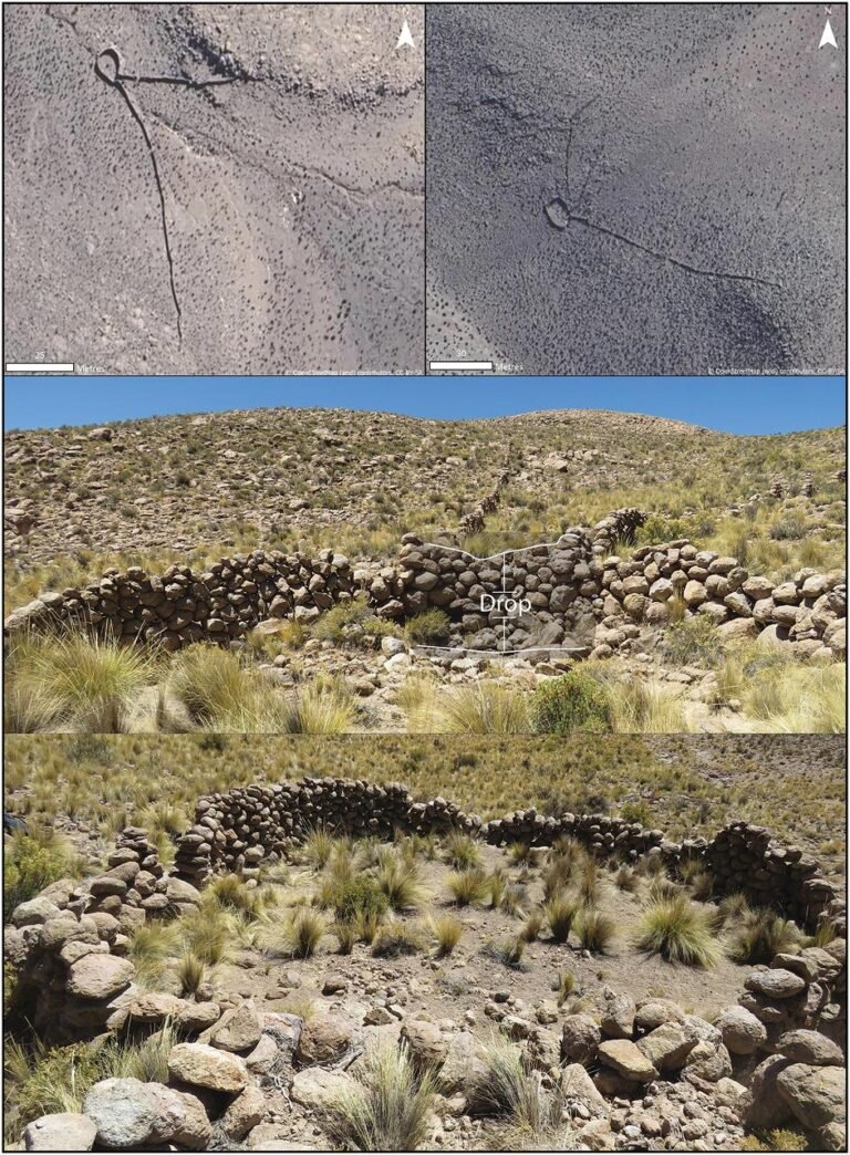 Satellite images reveal 76 ancient hunting traps in Chile, uncovering ...