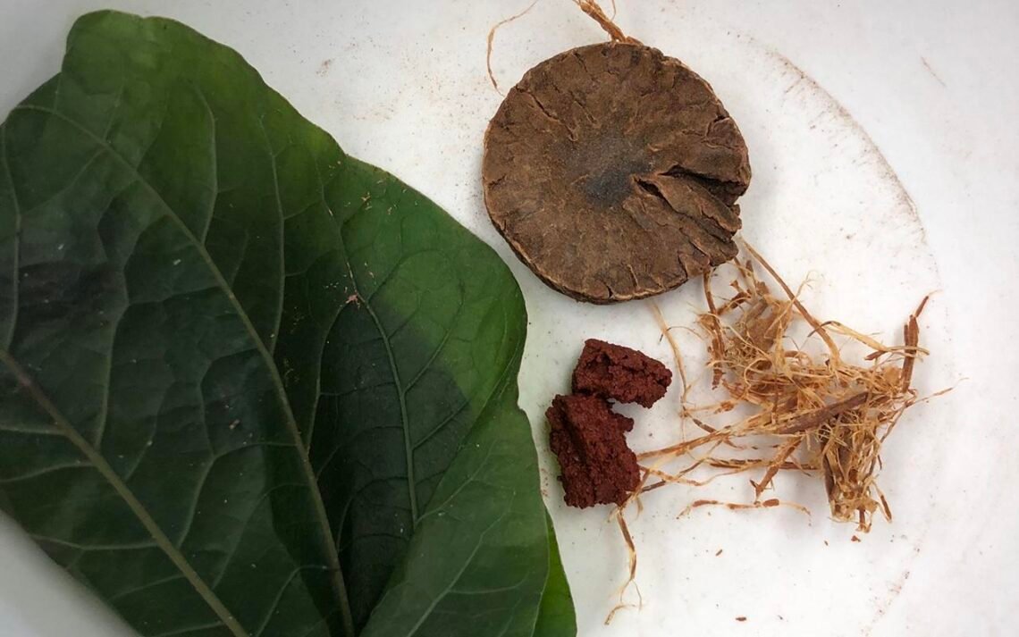 4,000-year-old teeth reveal earliest evidence of betel nut chewing in ...