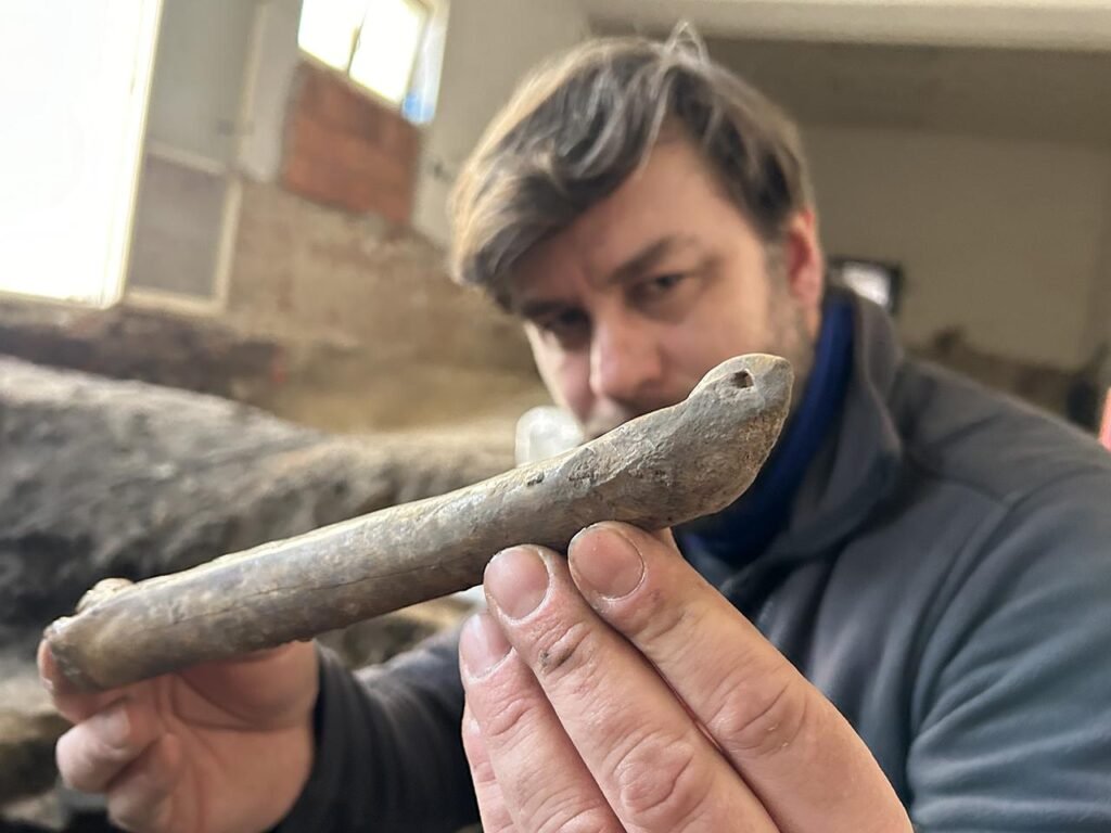 1,000-year-old bone skate discovered in Czech Republic | Archaeology ...