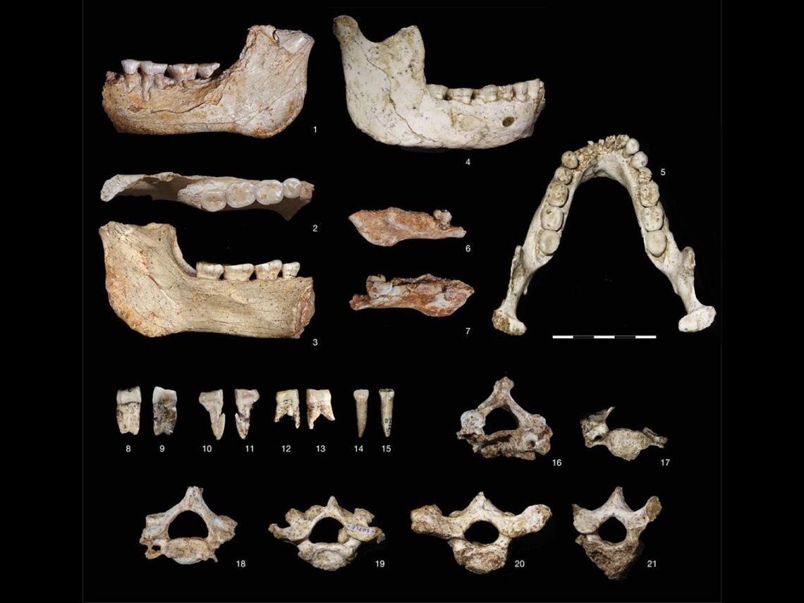 Casablanca fossils dated 773,000 years back reveal African origin of ...