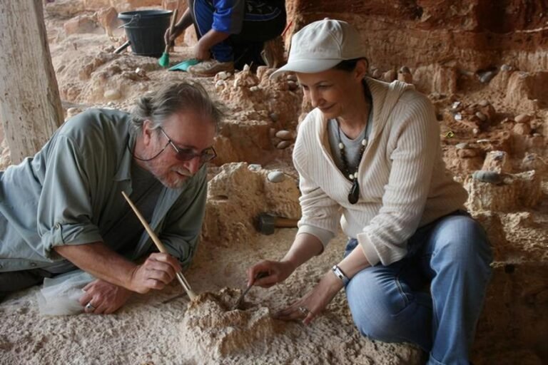 Casablanca fossils dated 773,000 years back reveal African origin of ...