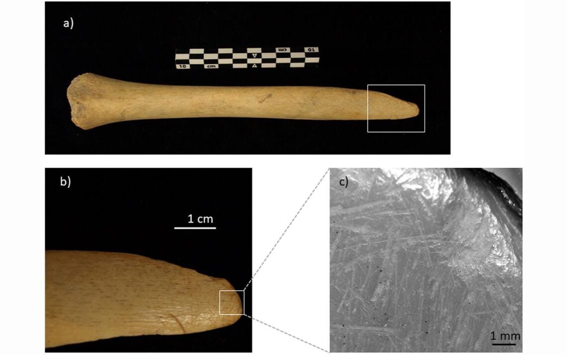 Cup made from prehistoric human skull discovered in Spanish cave ...