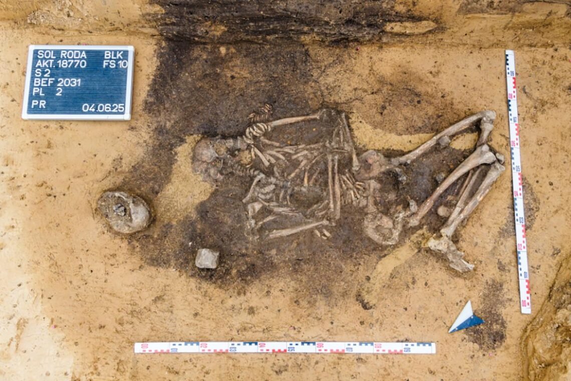 4,500-year-old dog tooth–adorned bags unearthed in Germany reveal ...