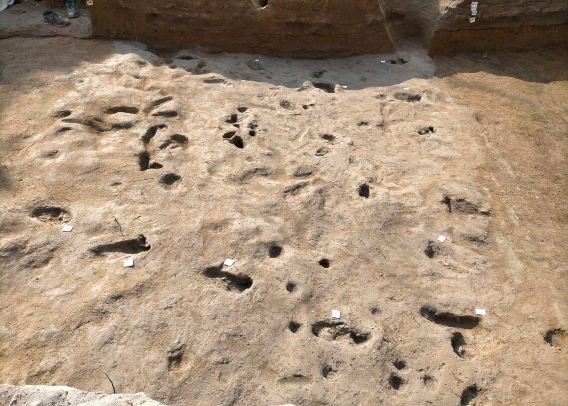 UK's largest dinosaur footprint site unearthed in Oxfordshire quarry ... UK's largest dinosaur footprint site unearthed in Oxfordshire quarry ...