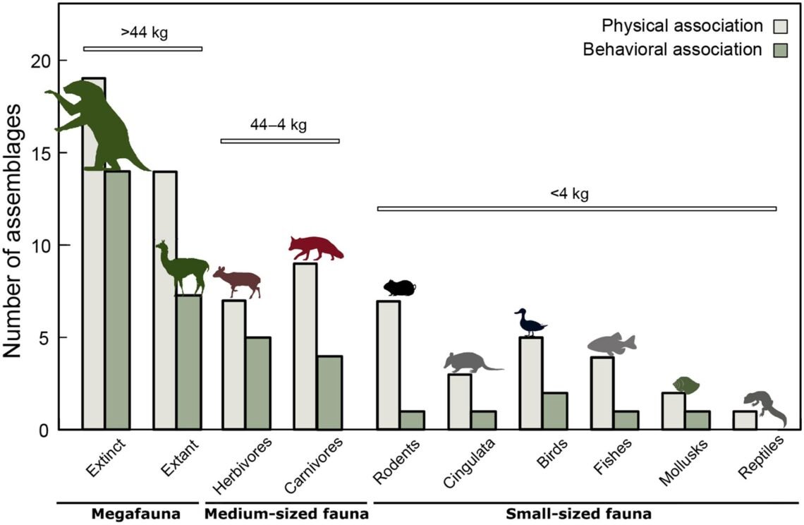 Early South American hunters primarily hunted megafauna, including ...