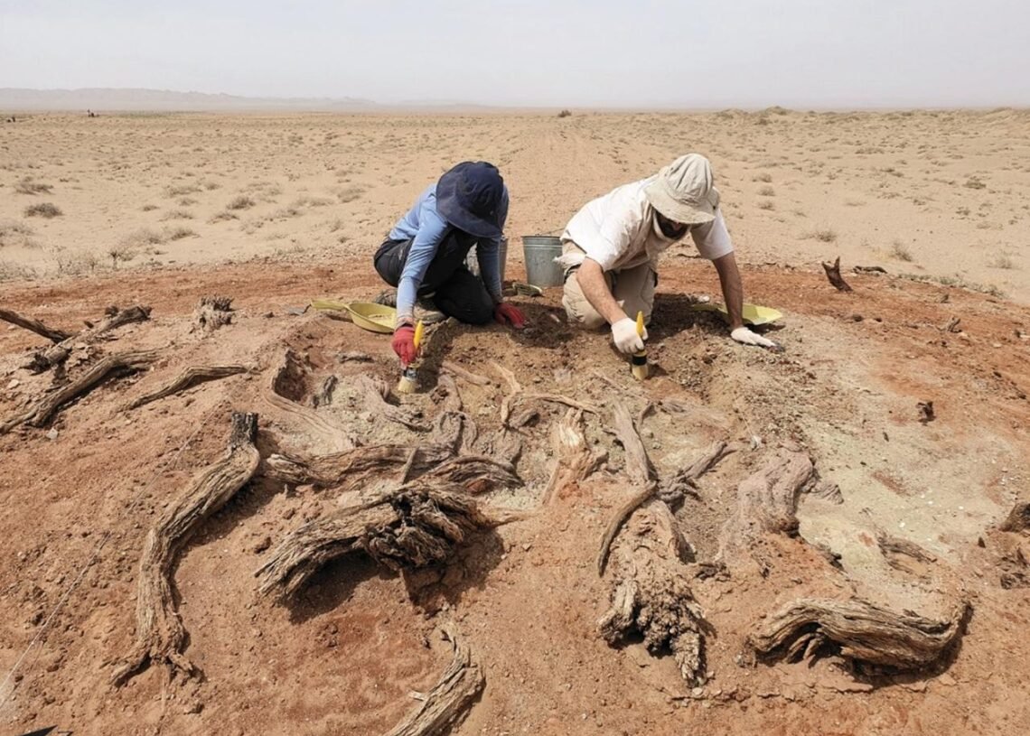 Recovery of ancient Greek shipwreck in Sicily reveals rare orichalcum ...