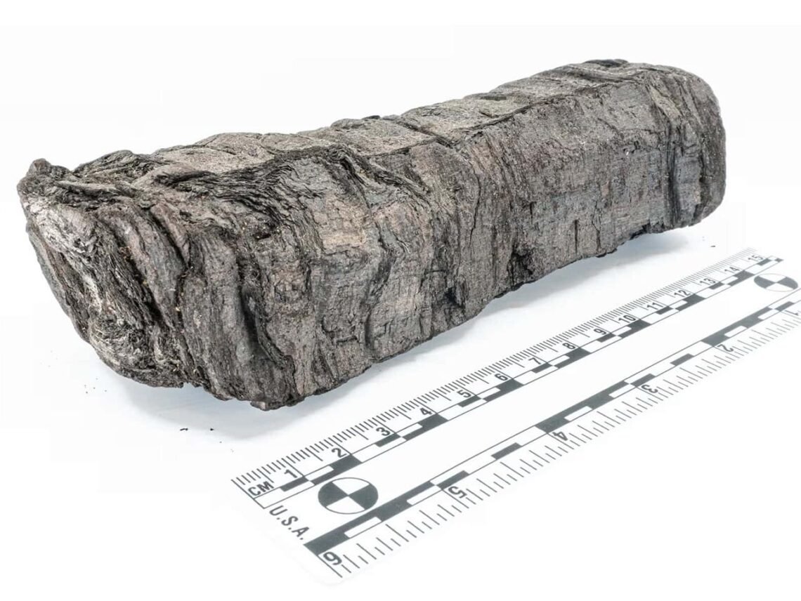 AI reveals first look inside 2,000-year-old Herculaneum scroll ...