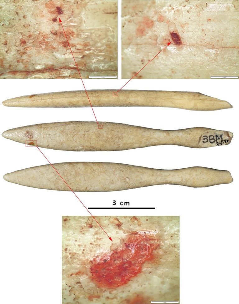 Oldest hippopotamus ivory object unearthed in Iberian Peninsula reveals ...
