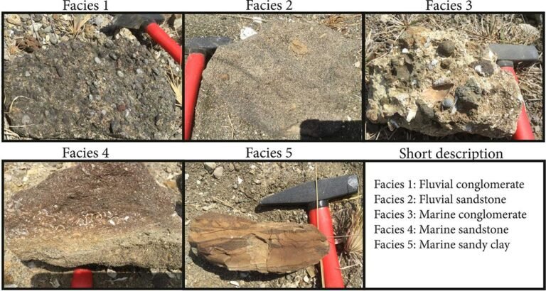Homo erectus in Java: 140,000-year-old fossils found in submerged river ...