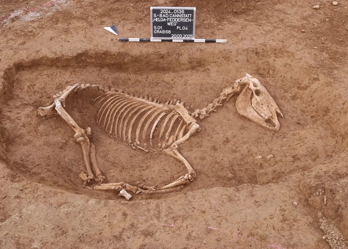 Archaeology | Archaeology News Online Magazine