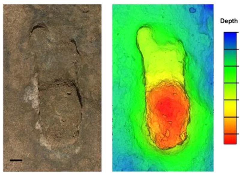 90 000 Year Old Human Footprints Discovered On Moroccan Beach