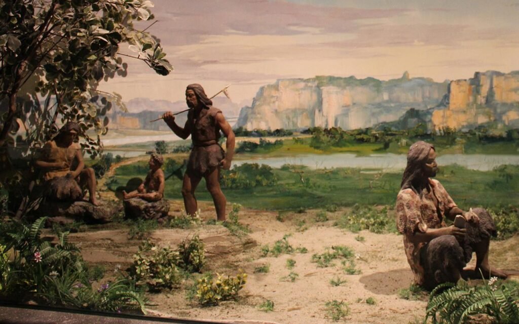 Early humans ate processed plant foods long before farming, new study ...