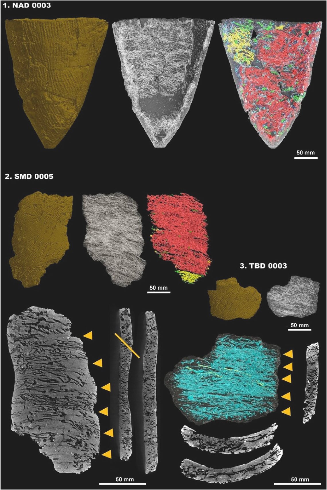 Hidden in pottery: ancient Japanese fishing nets resurrected with X-ray ...