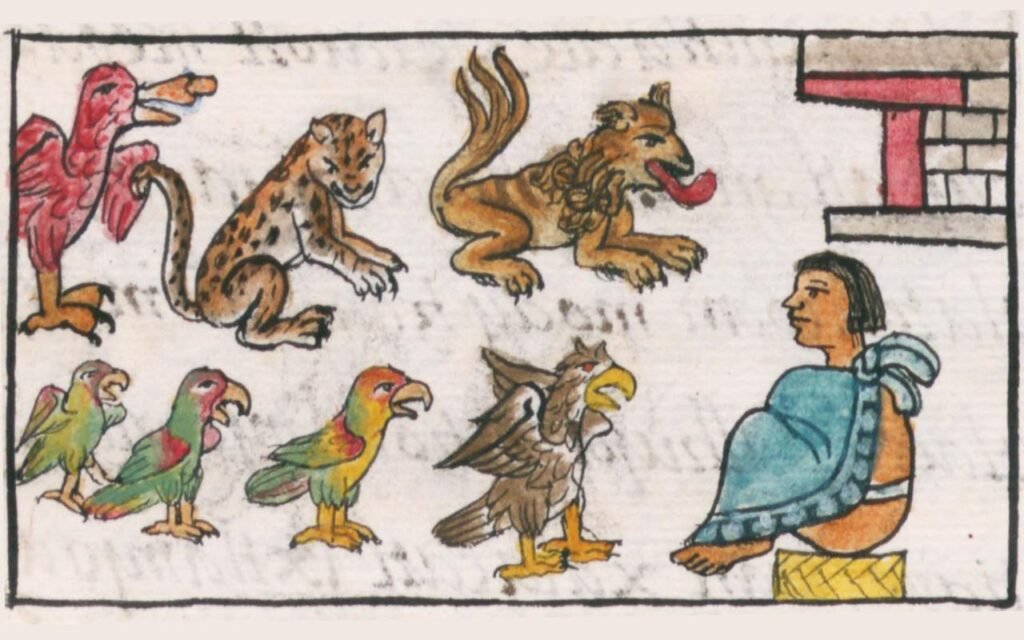 New study finds evidence that Aztec King Moctezuma kept a zoo for ...