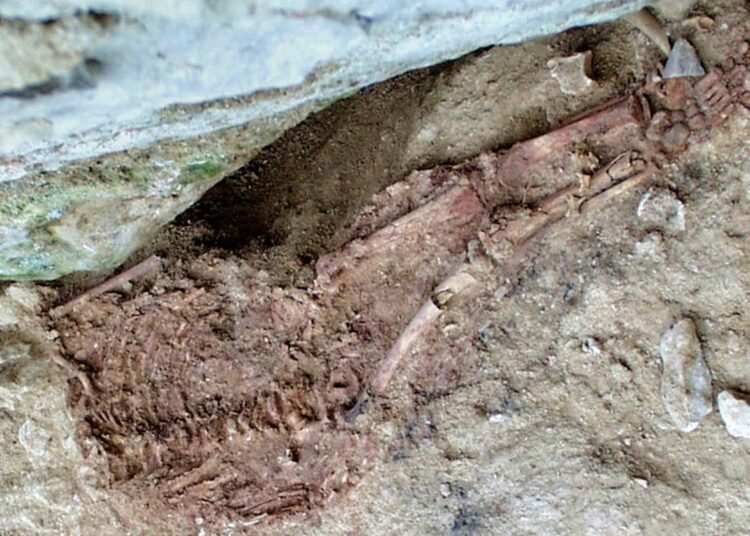 57000-year-old Neanderthal engravings uncovered in a French cave ...