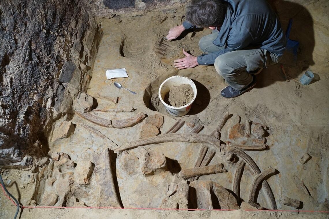 Paleontology | Archaeology News Online Magazine