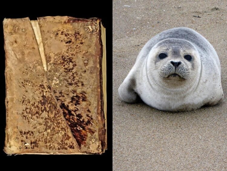 Researchers uncover health and burial secrets of 6 million in Paris ...