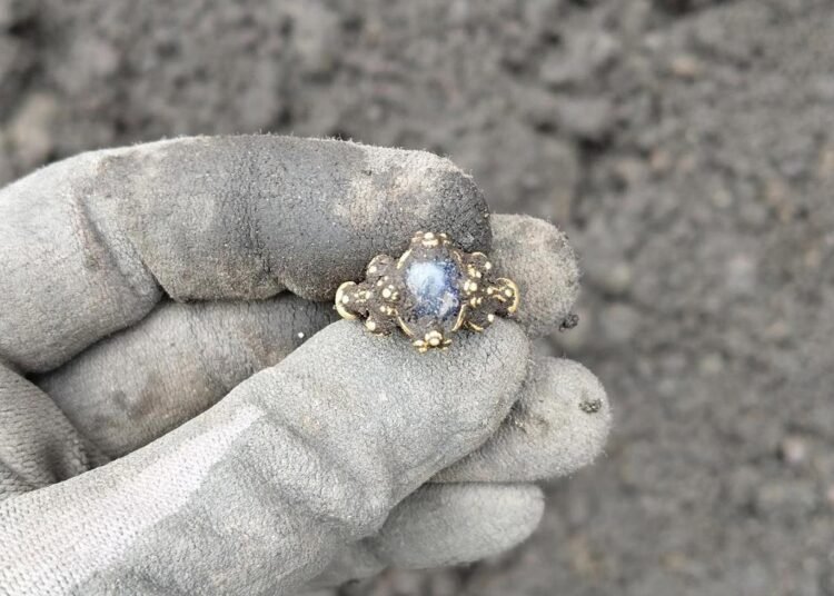 Anglo-Saxon gold-and-garnet hoard discovered in England reveals early ...