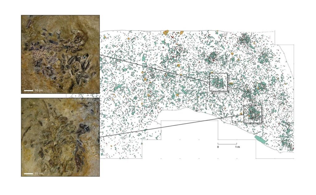 Neanderthals operated prehistoric “fat factory” 125,000 years ago on ...