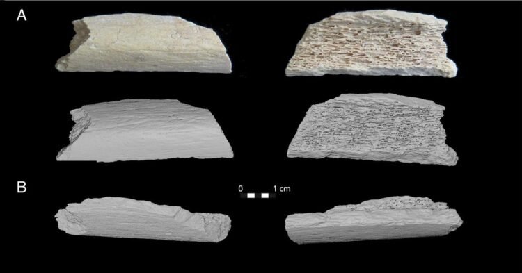 DNA from Crimea reveals Neanderthals migrated thousands of kilometers ...