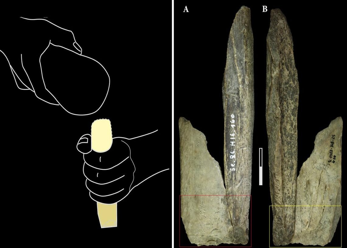 65,000-year-old Neanderthal ‘tar factory’ found in Gibraltar cave ...