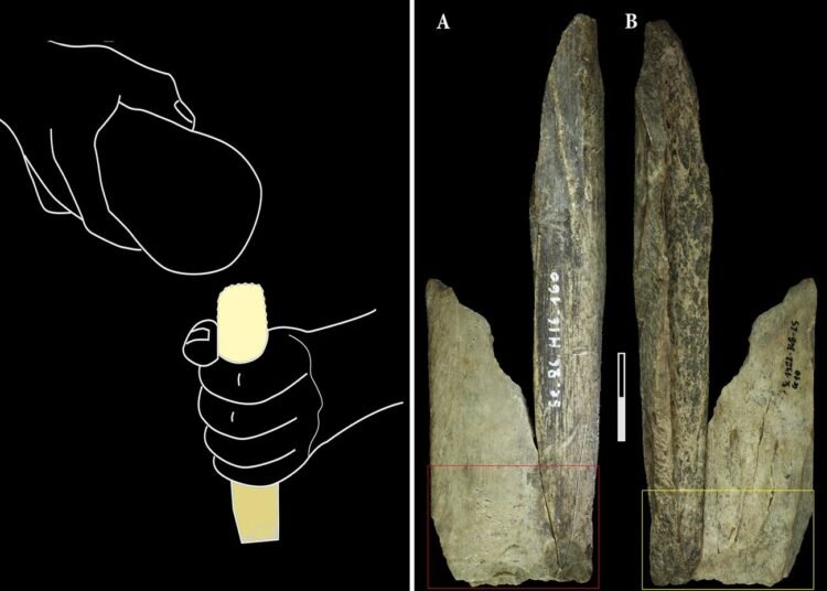 New study reveals Neanderthals faced a population crash 110,000 years ago | Archaeology News ...