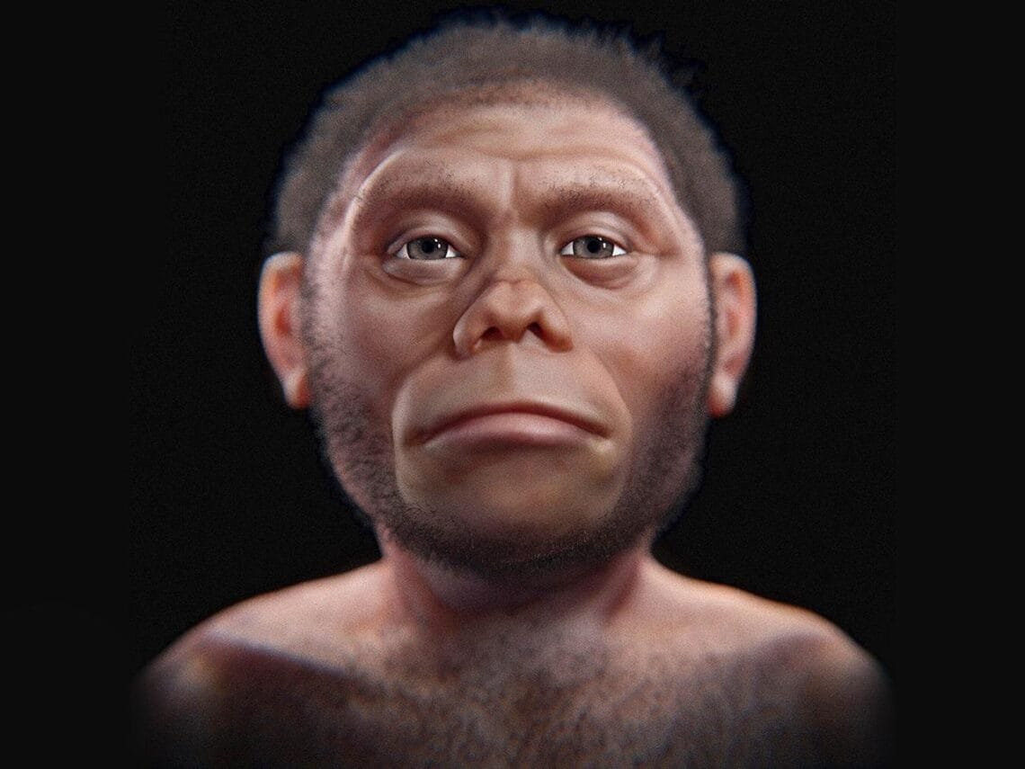Neanderthal-human interbreeding: A 7,000-year genetic legacy uncovered ... Neanderthal-human interbreeding: A 7,000-year genetic legacy uncovered ...