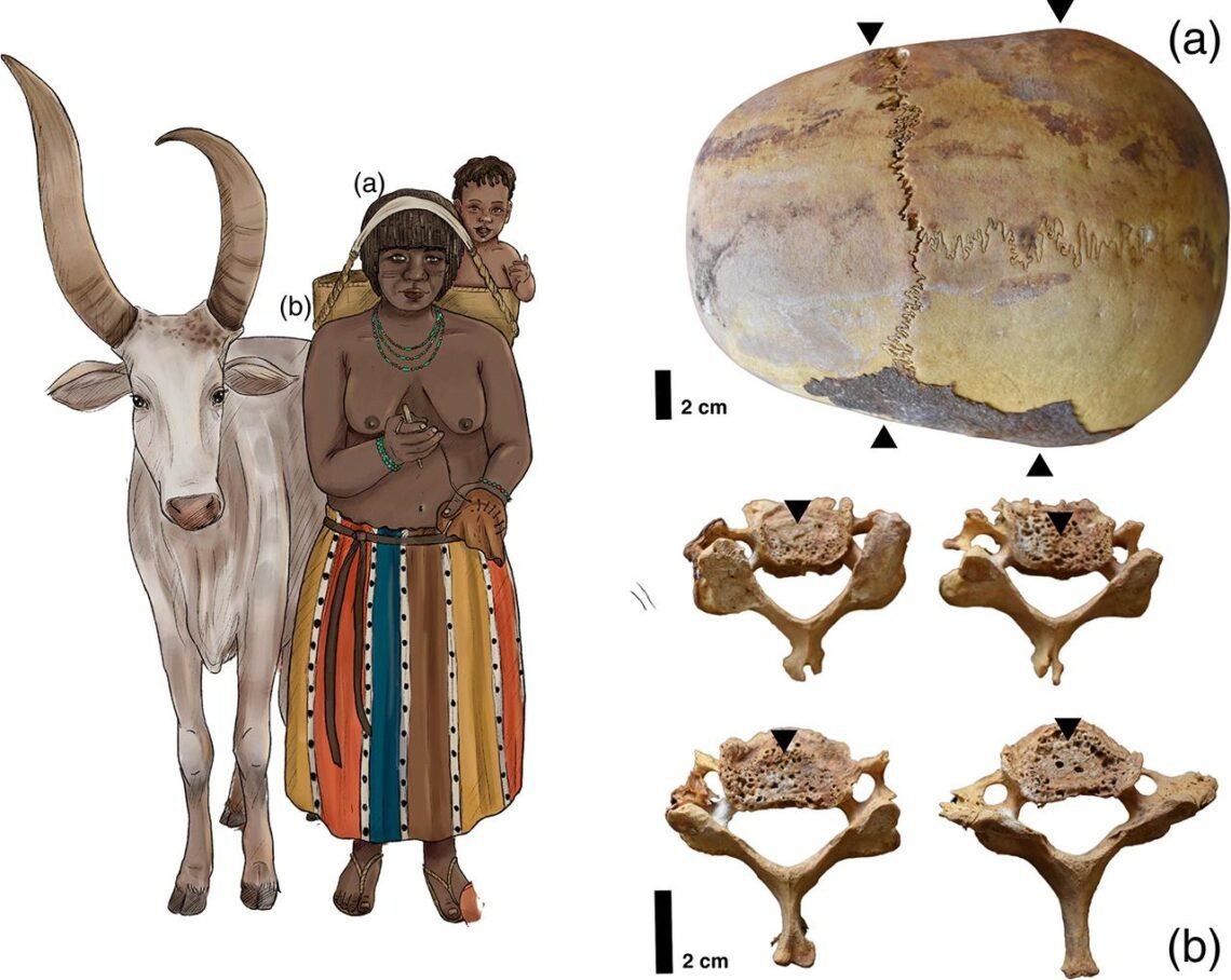 Bronze Age Nubian women carried heavy loads on their heads, study ...