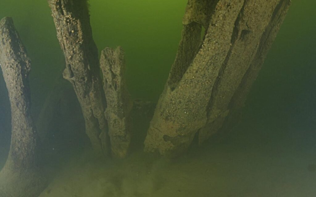 Oldest carvel-built ship in Nordic region discovered in Sweden ...