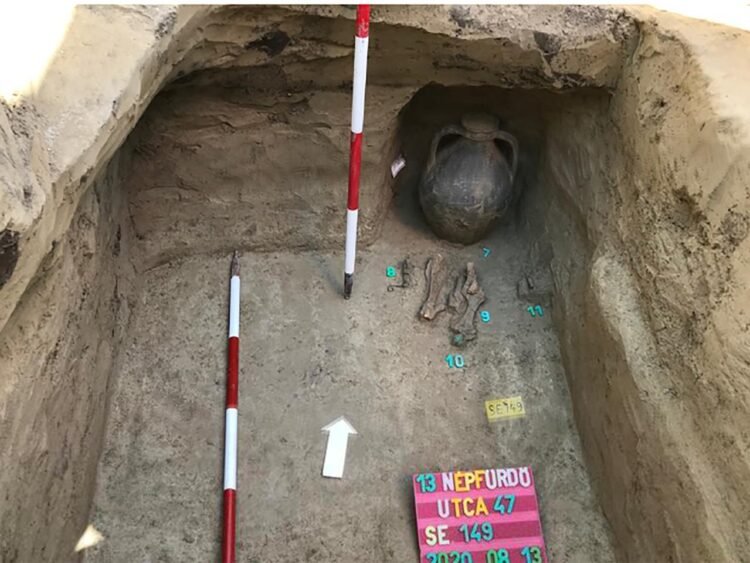 Genetic study reveals origin and diversity of Huns | Archaeology News ...