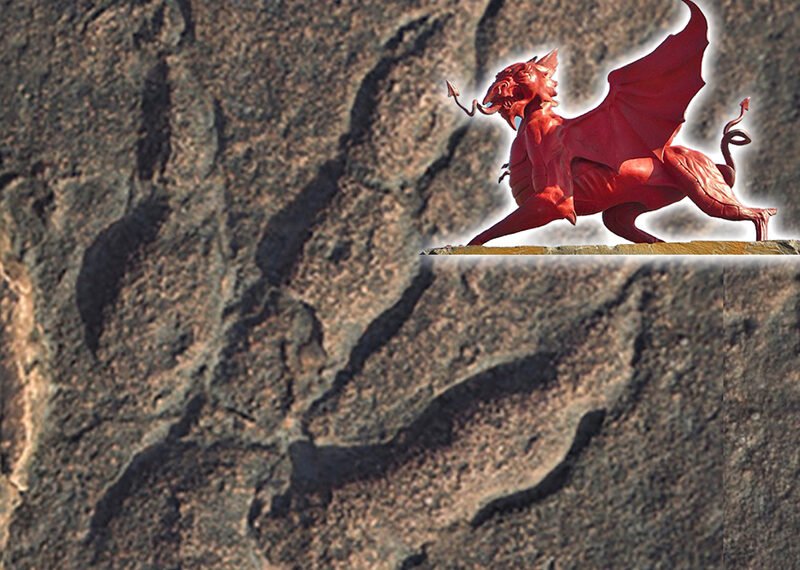 Paleontology | Archaeology News Online Magazine