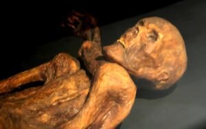Ancient DNA study reveals Ötzi the Iceman’s unique ancestry and the ...