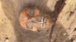 Padlocked 'vampire' died from illness, study finds | Archaeology News ...