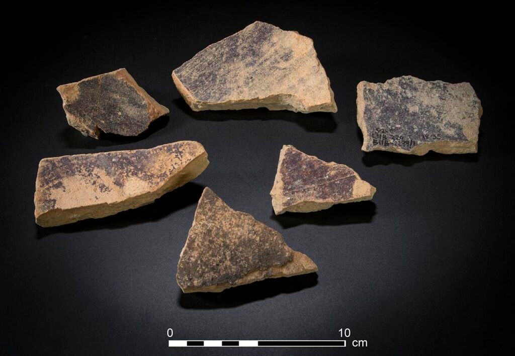 Iron Age purple dye factory unearthed on Israel’s Carmel coast ...