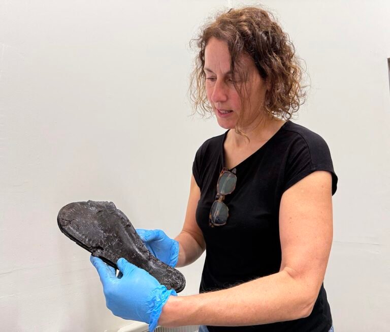 Exceptionally large Roman shoes discovered at Magna fort near Hadrian’s ...