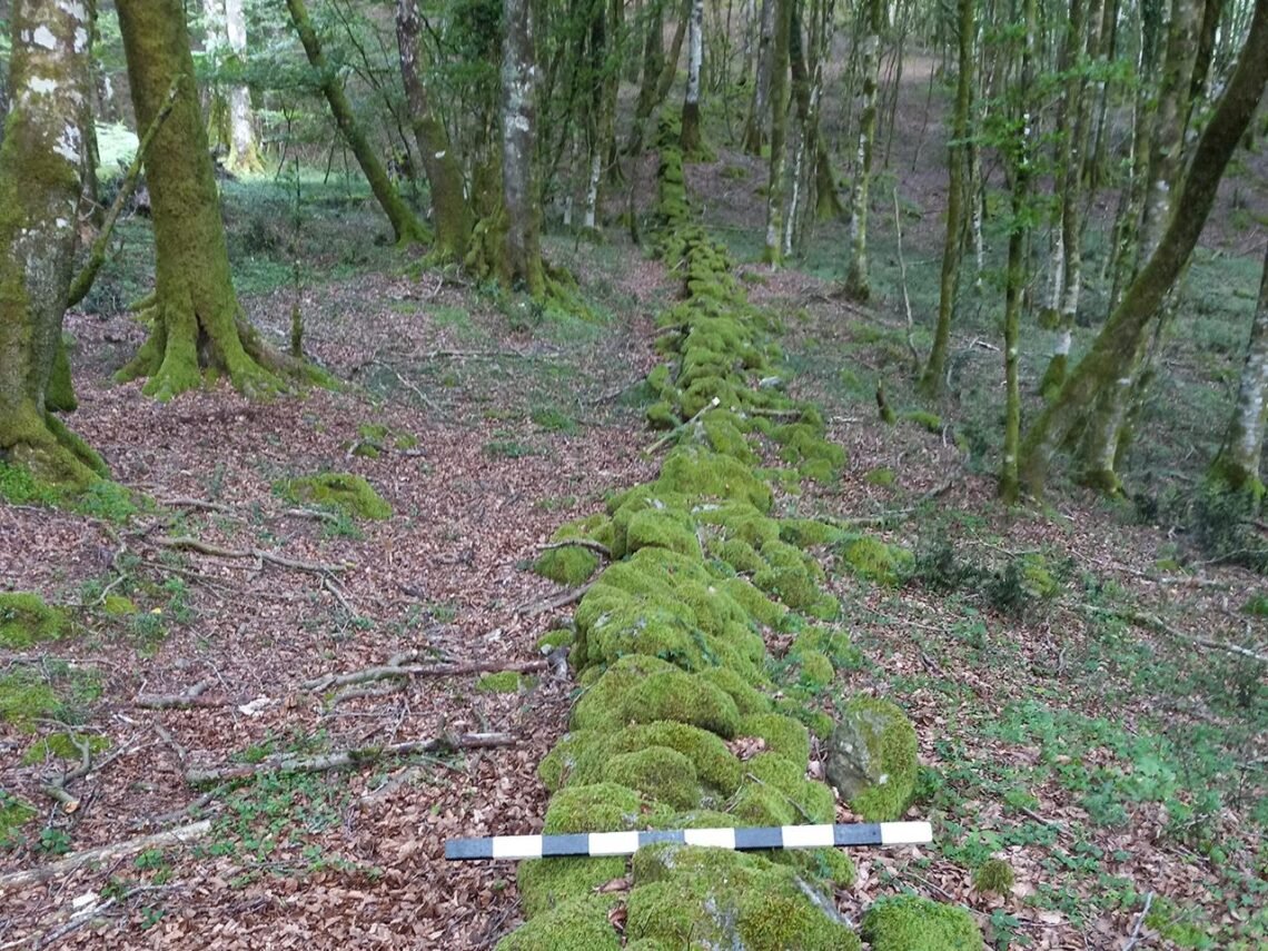 Archaeologists uncover ancient Roman wall and site of epic clash with ...