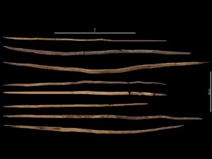 Ancient wooden spears found in Germany were likely made by Neanderthals 200,000 years ago, study ...