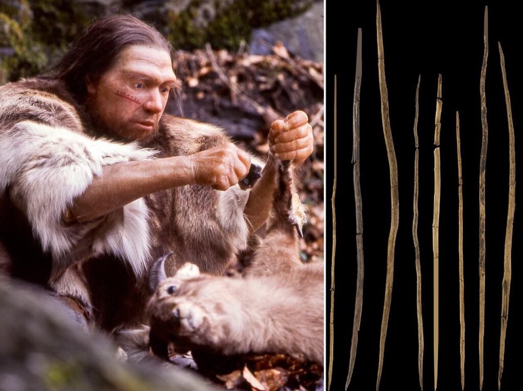 43,000-year-old Neanderthal fingerprint discovered on stone is the ...