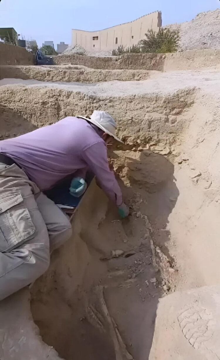 Archaeologists uncover ancient skeleton at 7,000-year-old Cheshmeh-Ali ...