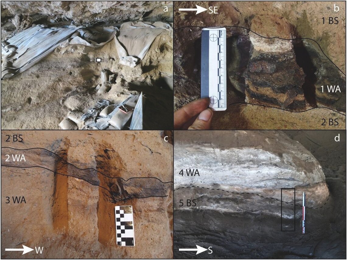 Stone Age humans built complex grass beds at Border Cave 200,000 years ...